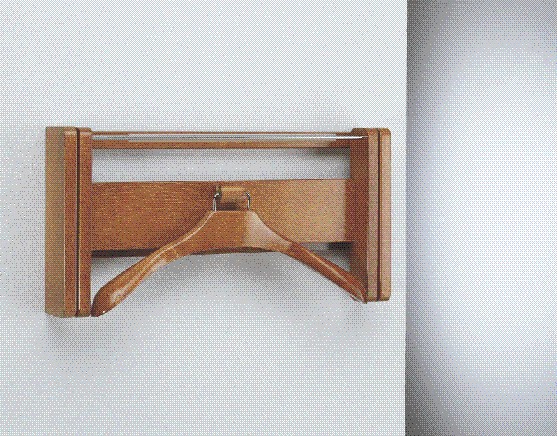 Folding wall mounted valet