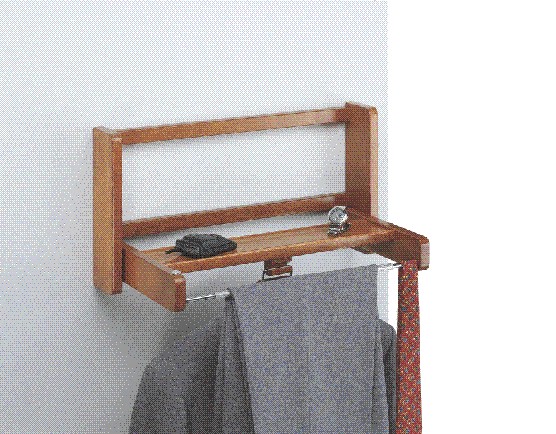 Folding wall mounted valet